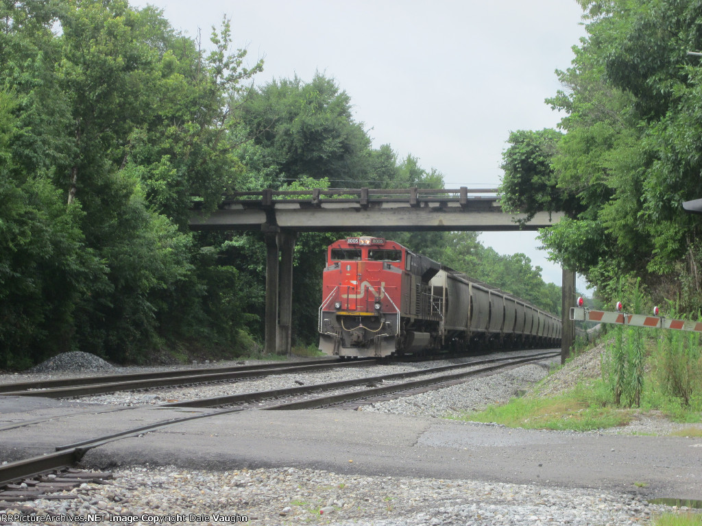 CN 8005